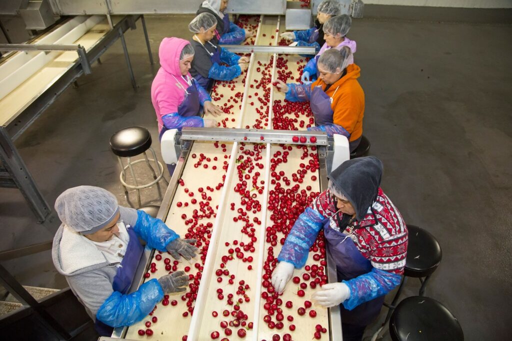 Labor Services - Garza Labor