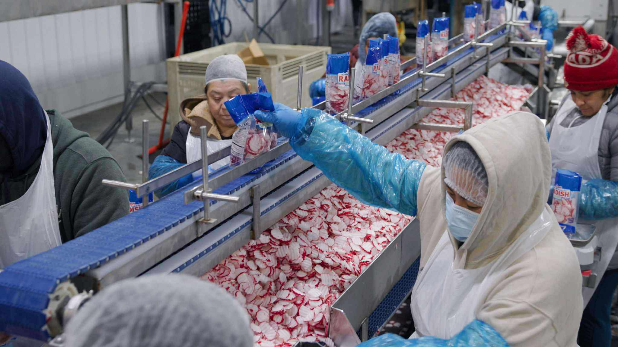 Garza Labor - Trusted Farm Labor Contractor. Access a Reliable and ...